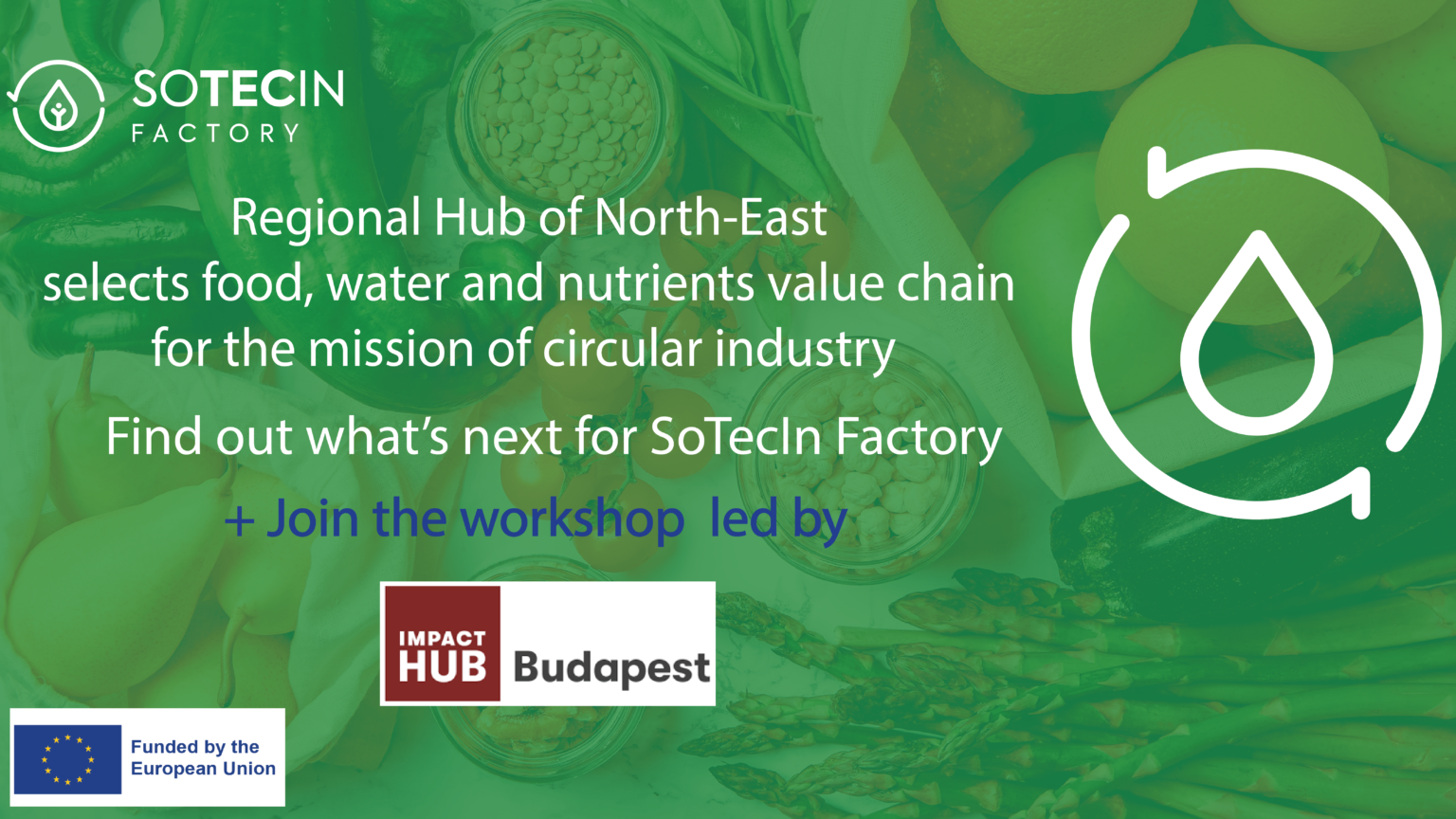Regional Hub of North-East selects food, water and nutrients key value ...